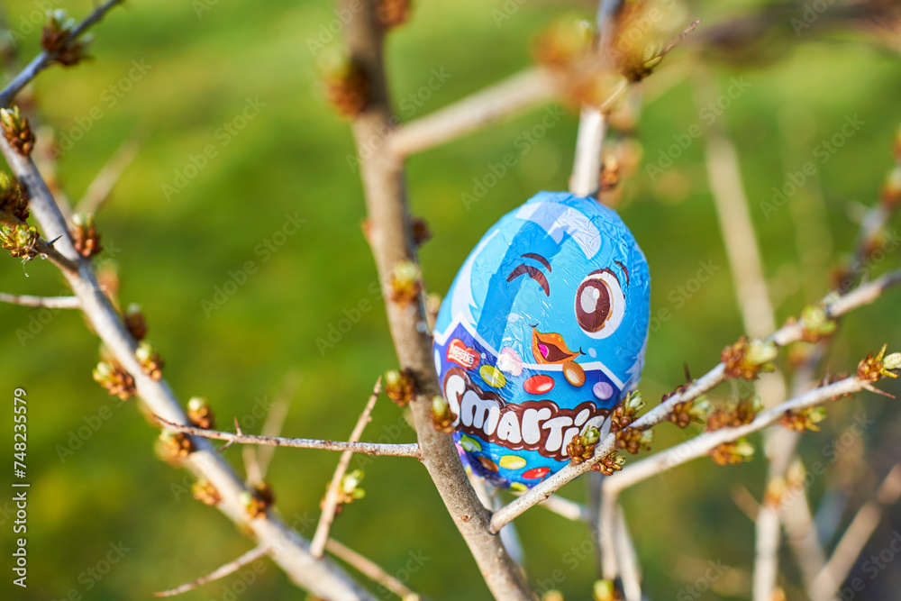 Nestle Smarties easter egg in spring, between twigs. Stock Photo ...