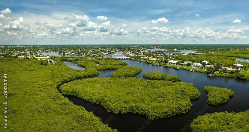 Overhead view of Everglades swamp with green vegetation between water ...