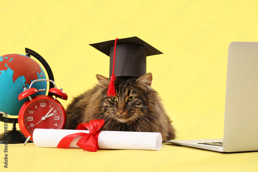 Cute cat with graduation hat, diploma, clock, globe and laptop on ...