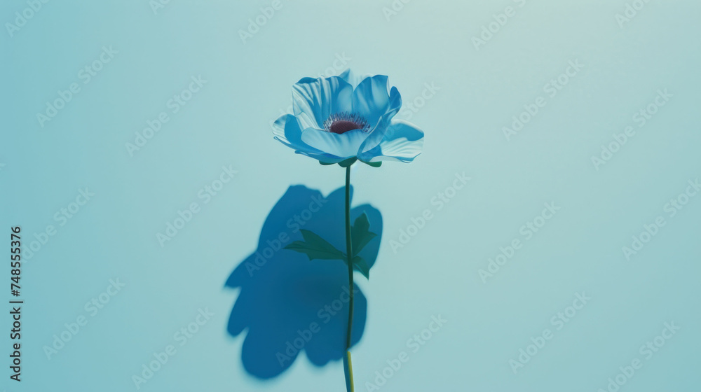 a single blue flower is casting a shadow on a light blue background ...