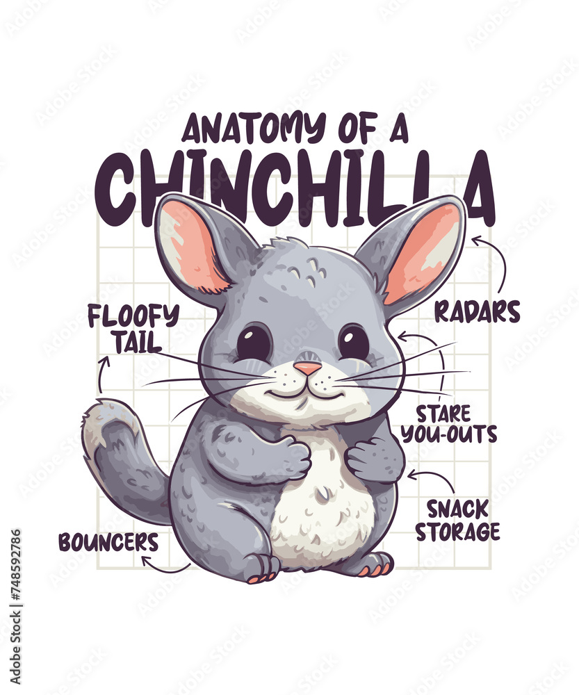 Entzückende Skizze Zur Anatomie Einer Chinchilla Stock Illustration ...