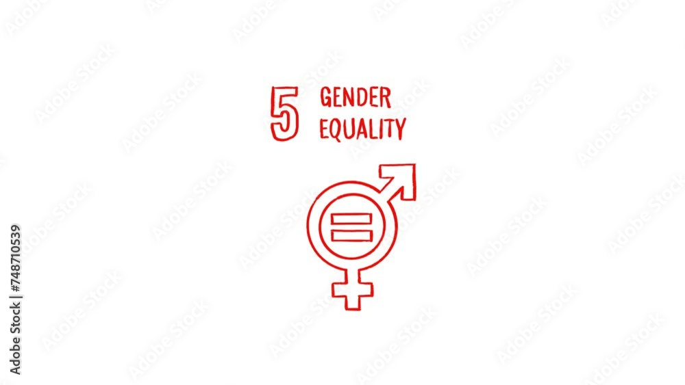 Sustainability, 17 goals, sustainable development; goal 5, gender ...