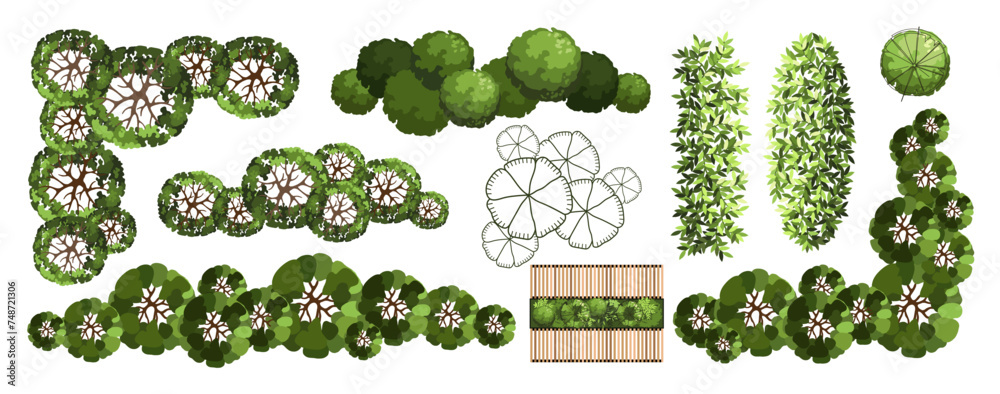 Top view elements for the landscape design plan. Trees and benches for ...
