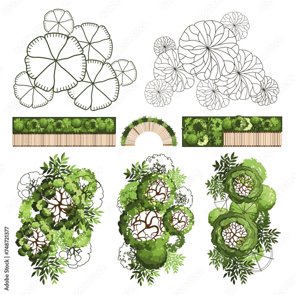 Top view elements for the landscape design plan. Trees and benches for ...