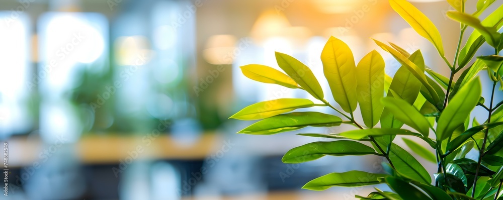 Greenery in an office setting promoting sustainability productivity and ...
