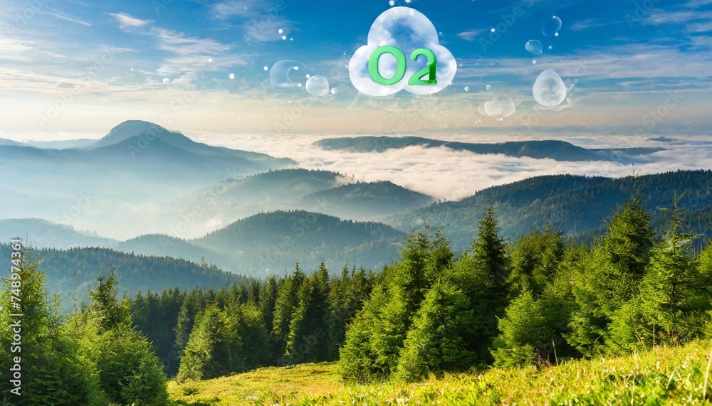 carbon dioxide absorption and oxygen release concept many trees at the ...