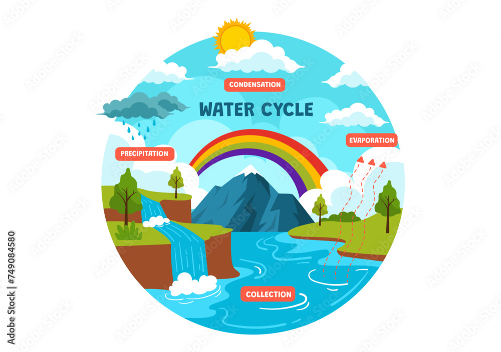 Water Cycle Vector Illustration with Evaporation, Condensation ...