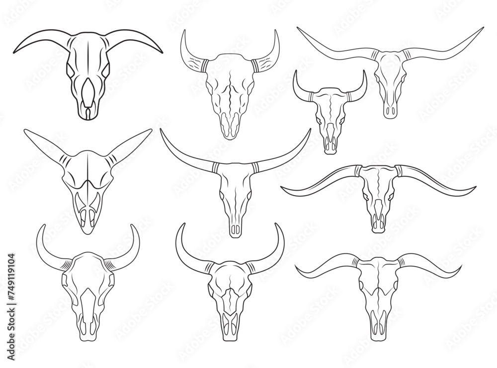 Bull Skull Outline, Bull Skull Vector, Bull skull silhouette, Bullhead ...
