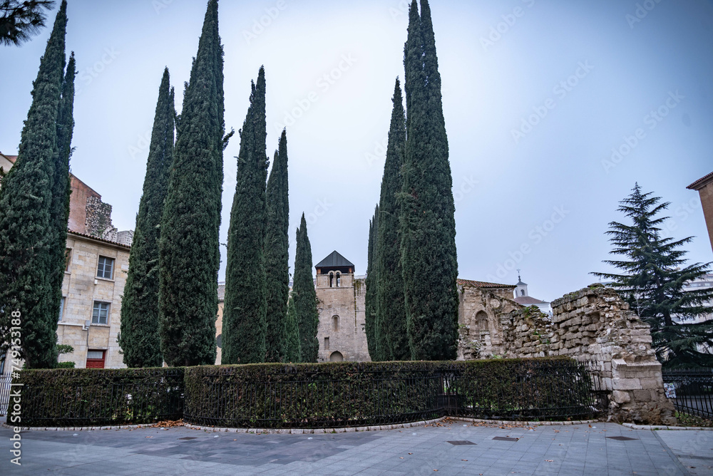 Valladolid historic and monumental city of the past with a lot of ...