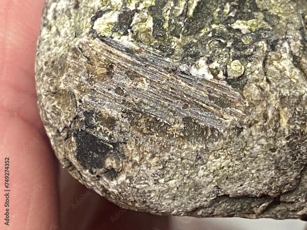 Ambergris whale vomit used in perfume making it is made by sperm whale ...