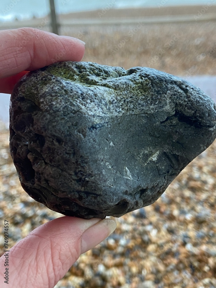 Ambergris whale vomit used in perfume making it is made by sperm whale ...
