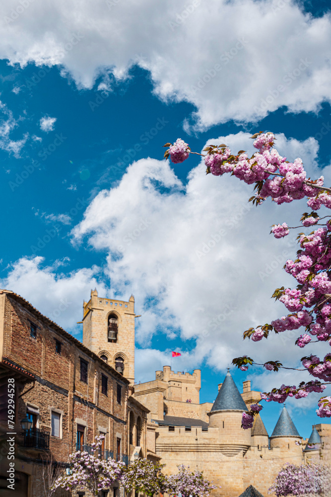 Olite Castle, also known as the Palace of the Kings of Navarre, in ...