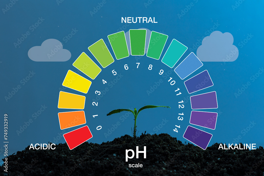 Diagram depicting the concept of soil pH, with a color-coded scale ...