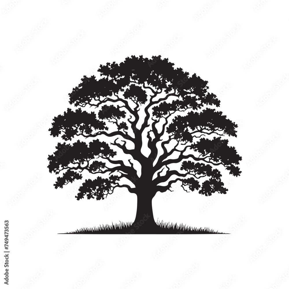 A Legacy of Nature: An Ancient Oak Tree Silhouette Whispering Tales of ...