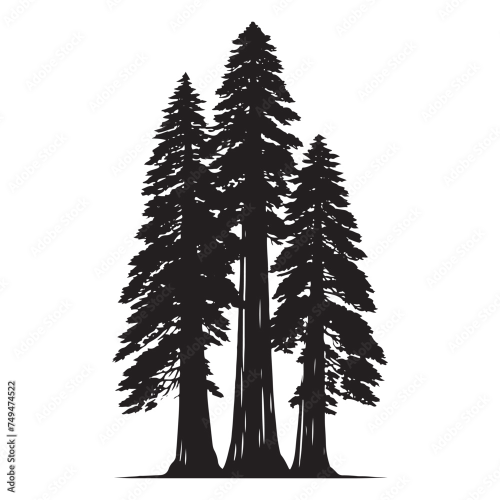 Redwood Tree Silhouette Bathed in Golden Sunlight: A Moment of ...