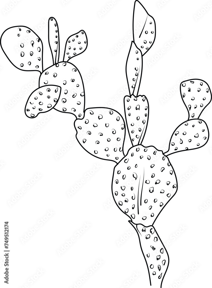 plant simple cactus coloring page printable succulent coloring page ...
