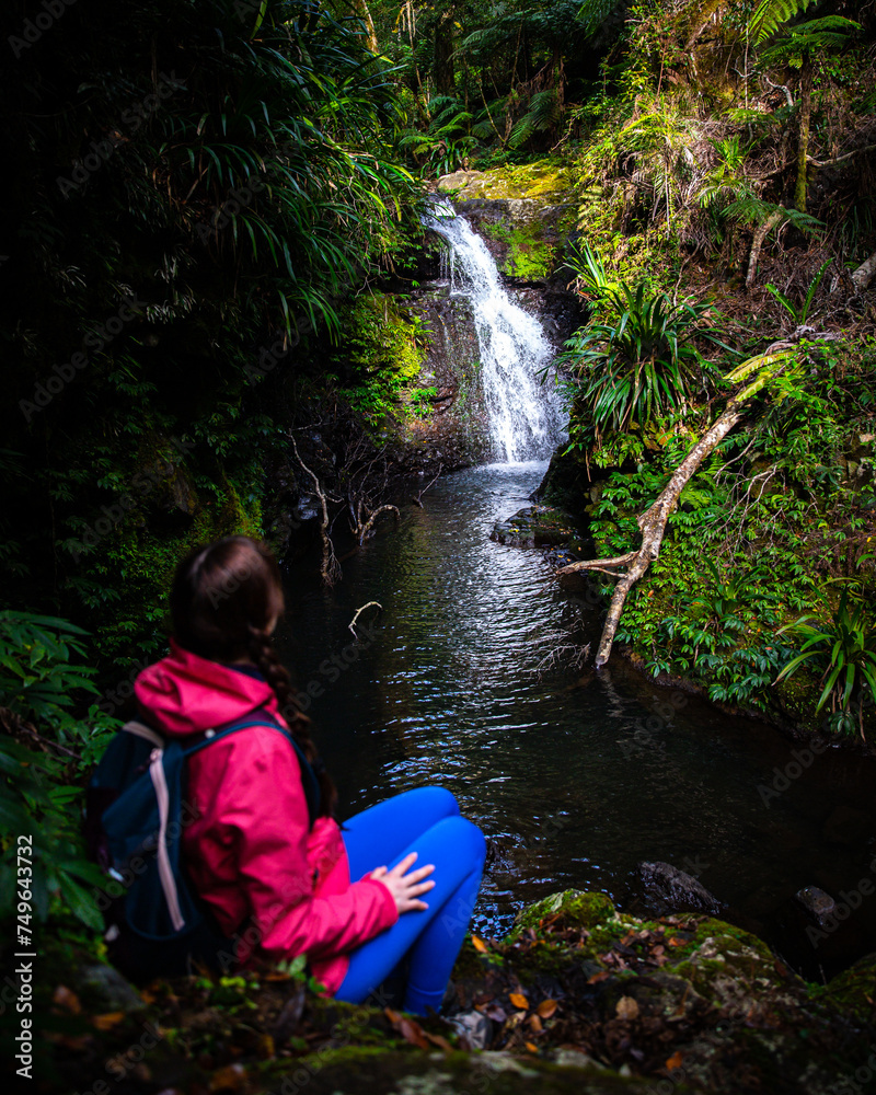 hiker woman admiring tropical waterfall in australian rainforest ...