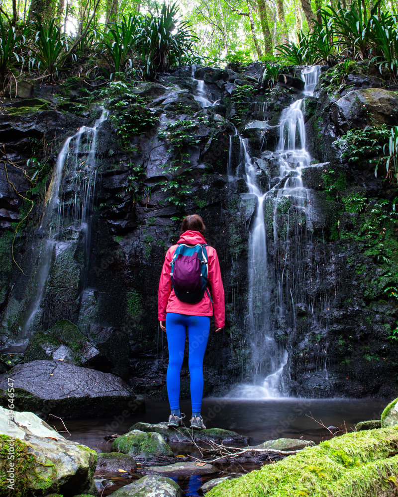 hiker woman admiring tropical waterfall in australian rainforest ...