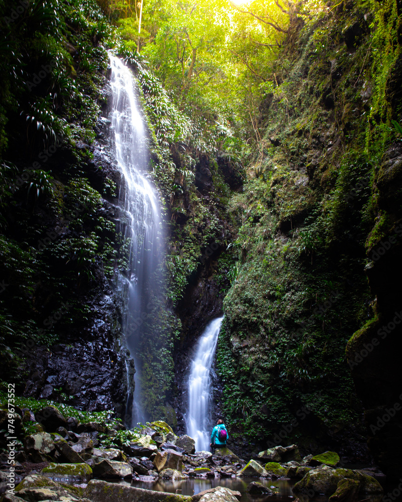 brave hiker girl admiring hidden gem of lamington national park ...