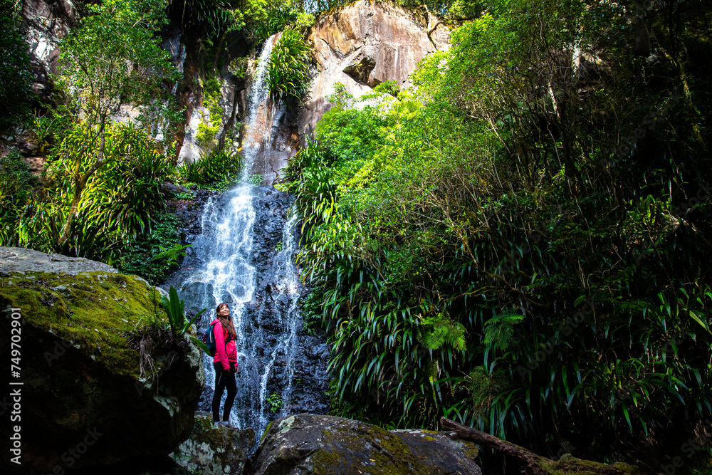 back view of backpacker girl watching a tropical waterfall - toolona ...