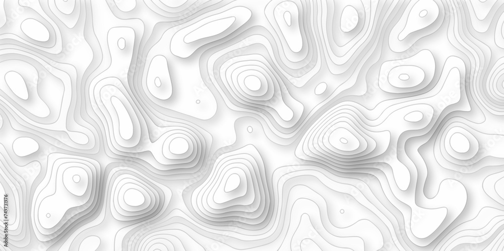 The pattern topo with lines Topographic contour lines vector map ...