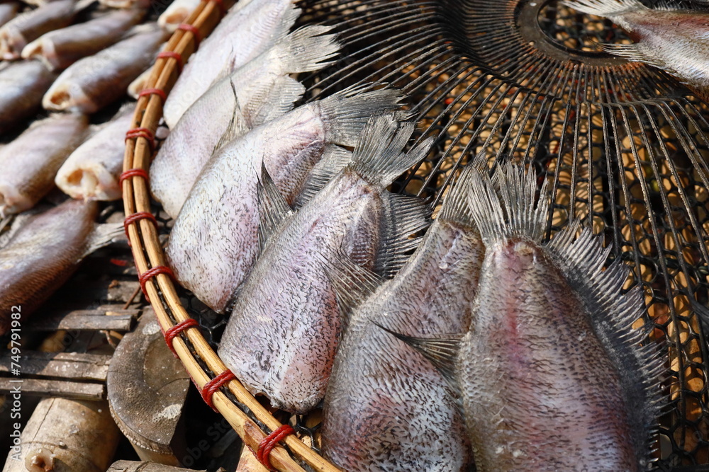 Gourami is a type of freshwater fish. The scientific name is ...