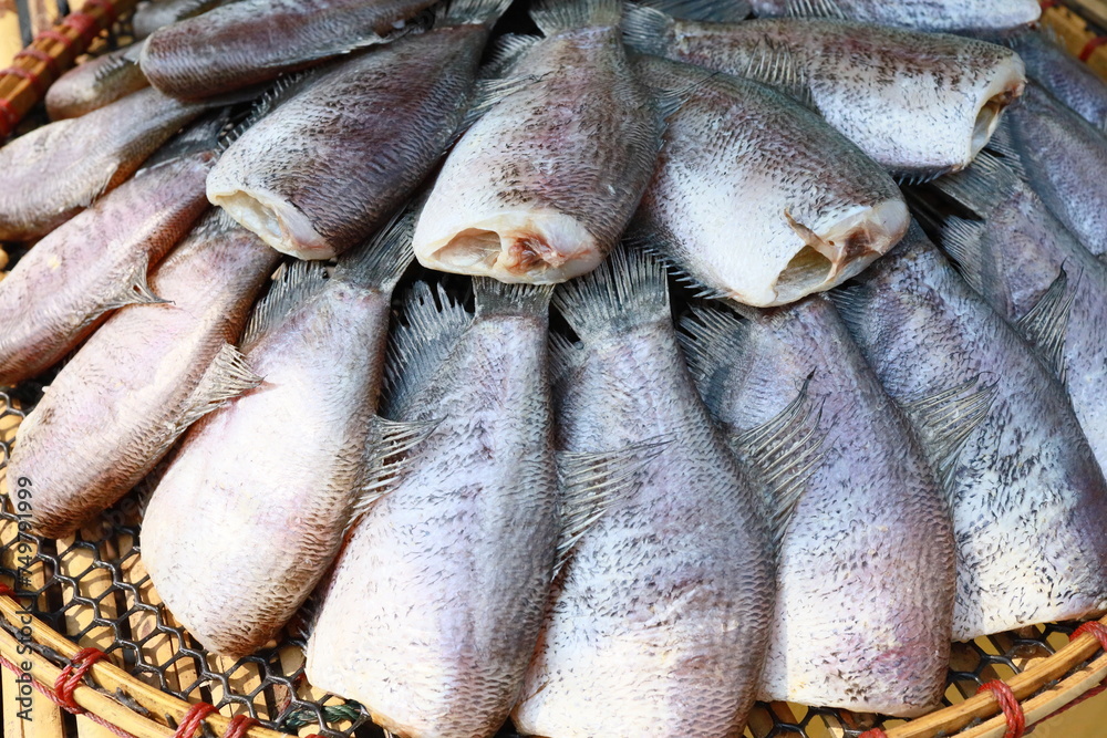 Gourami is a type of freshwater fish. The scientific name is ...