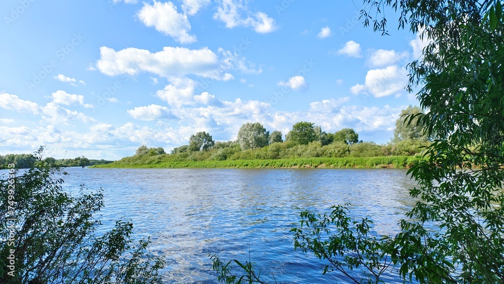 Branches of willows growing on the river bank overhang the water. The ...