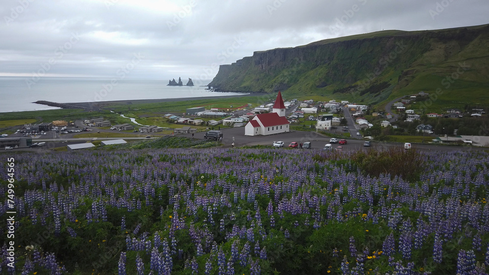 Víkurfjara black sand beach, Reynisfjall peak, Holtasoley flowers field ...