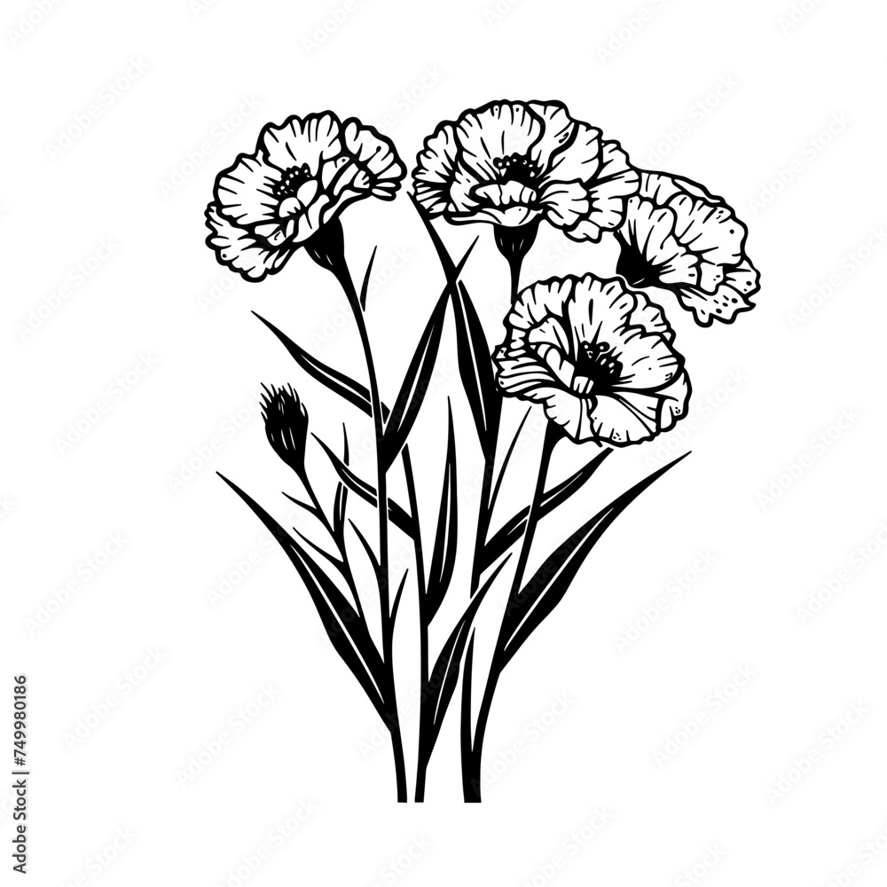 Vector isolated simple carnation bouquet boutonniere ywo carnations ...