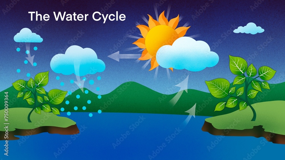 The water cycle diagram, representation of the water cycle in nature, Water cycle process on ...