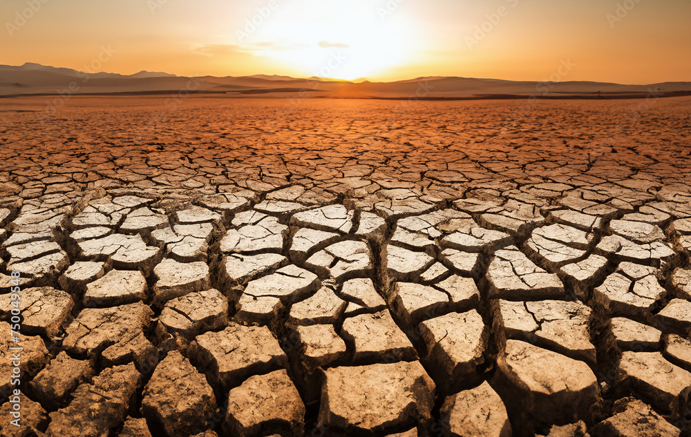 Drought land, Dries, Global drought. Dry cracked earth on sunset. Water ...