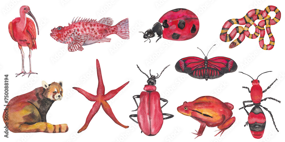 Animals in red color Set of hand drawn illustrations Isolated on white ...