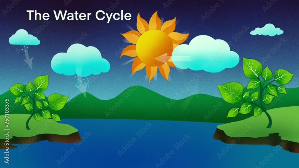 Vidéo Stock The water cycle diagram, representation of the water cycle ...