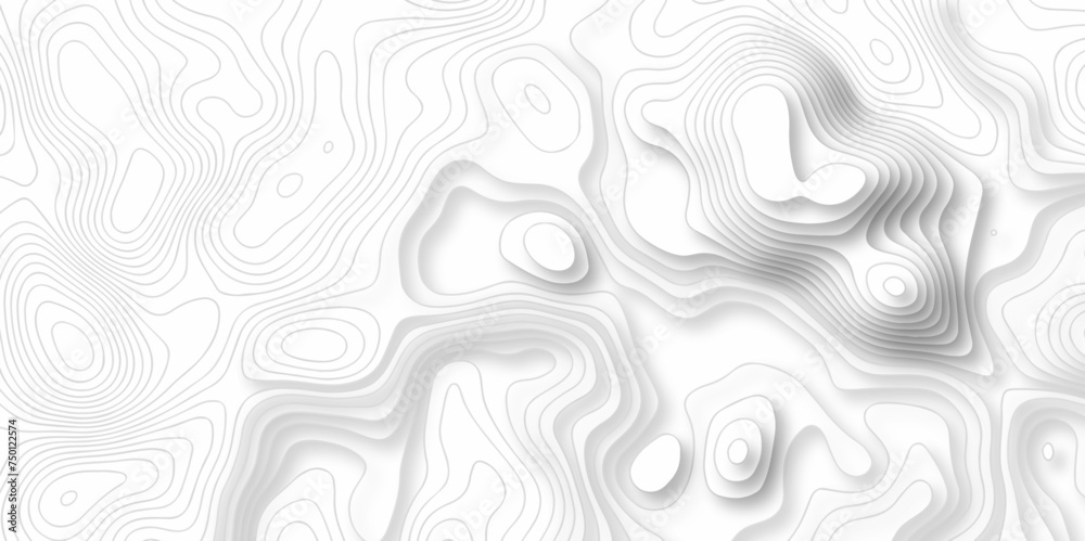 The pattern topo with lines Topographic contour lines vector map ...