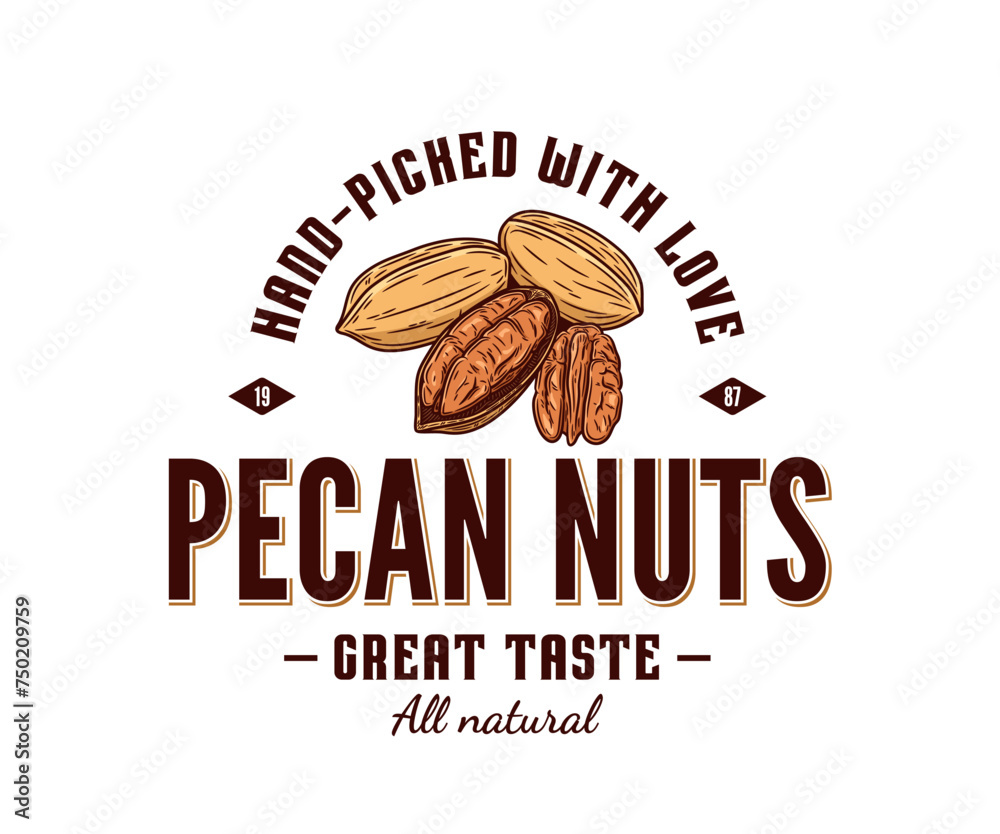 Vector pecan colorful logo. Nuts label design. Pecan nut kernels and ...