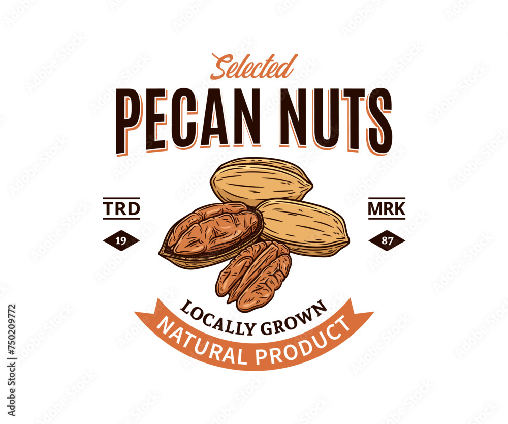 Vector pecan colorful logo. Nuts label design. Pecan nut kernels and ...