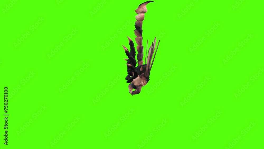 Monster Scorpion Falling Green Screen Animation 4k Rendering Stock ...