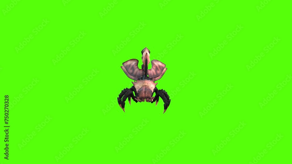 Vidéo Stock Monster Scorpion Roaring Green Screen Animation 4k ...