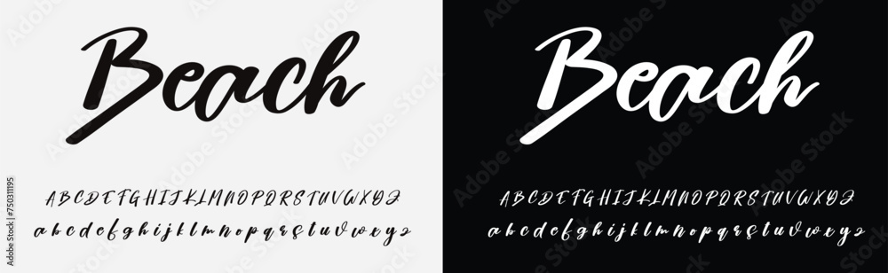 Hand drawn calligraphic vector monoline font. Distress signature letters. Modern script ...