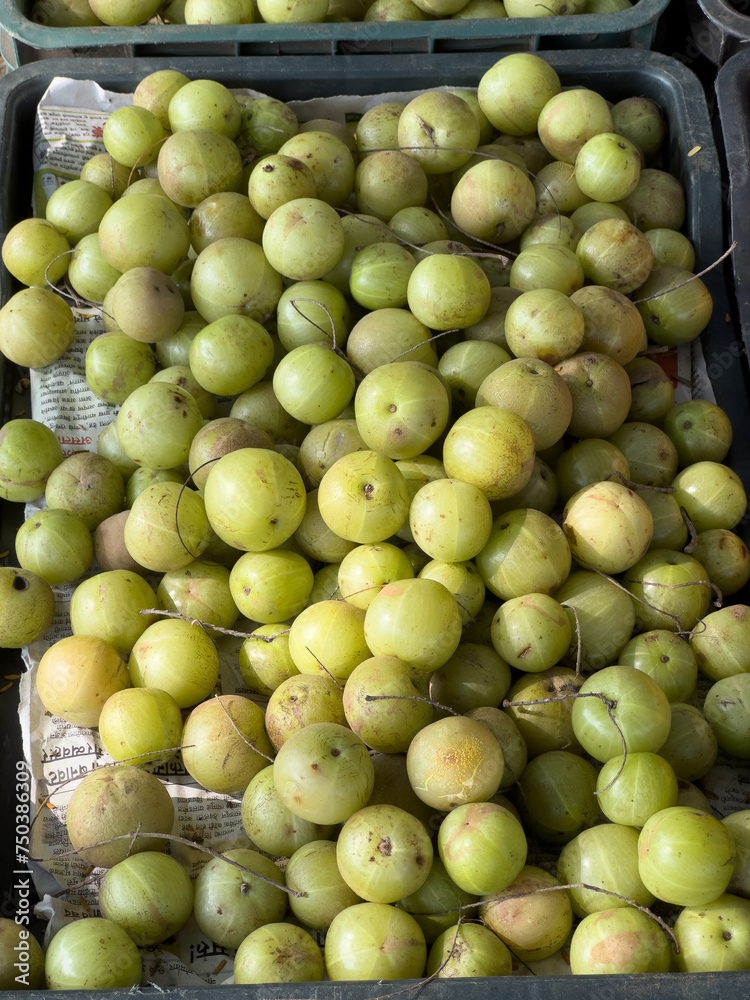 Group of amla fruits. Fresh Amla fruit on local market. Gooseberry for sale in market. Indian ...