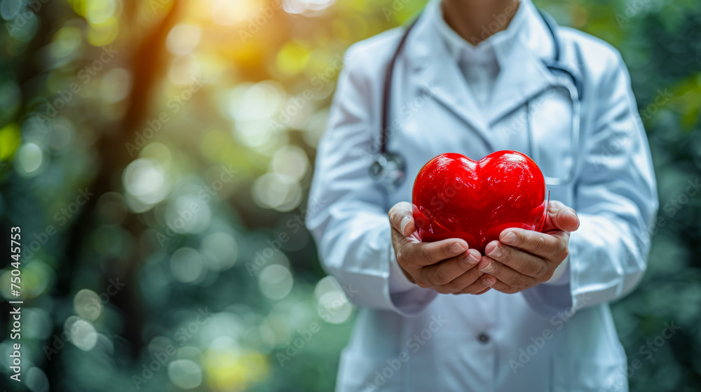 free space for title banner with Cardiologist doctor holding a red ...