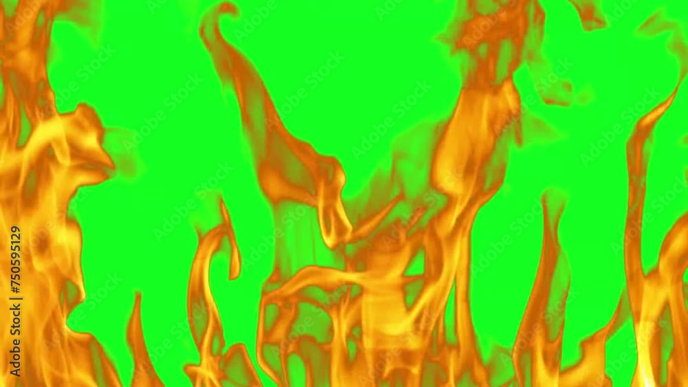 Regular burning of fire flames on surface of the ground or forest or ...