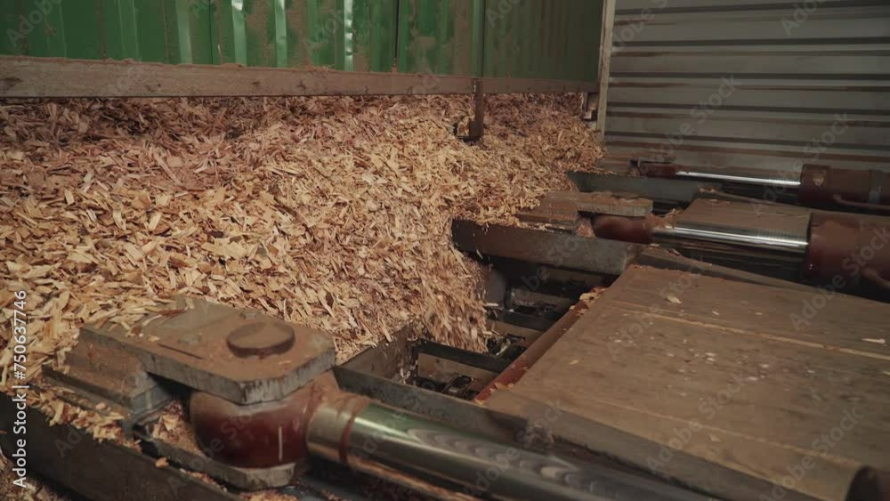 Processed Wood Shavings Moved By Heavy Pistons To Industrial Conveyor ...