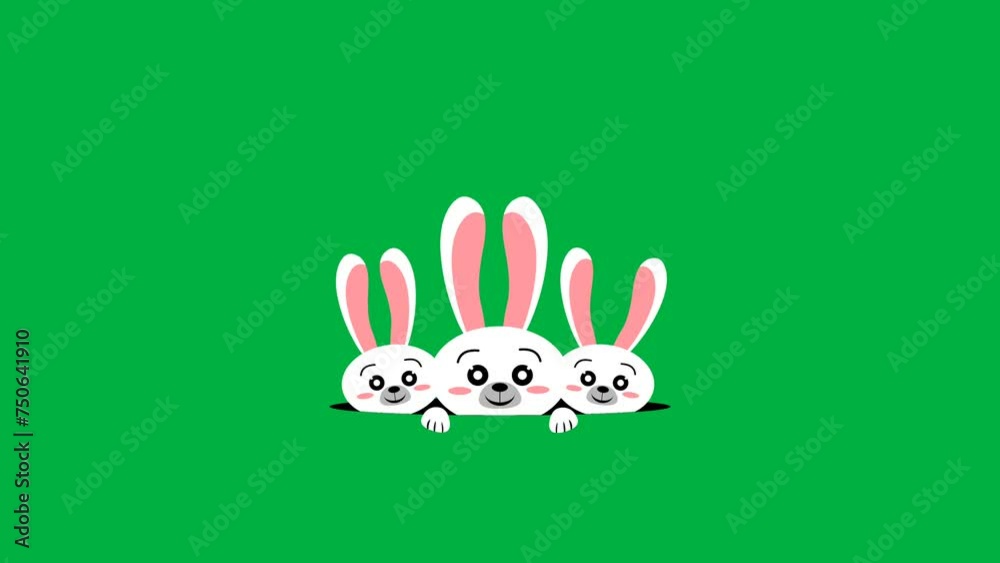 Three white rabbits looking from hole animation. animated cute clip of ...