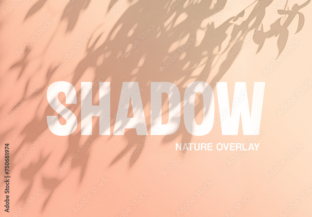 Sunrise Shadow Texture Overlay On The Wall Stock Template | Adobe Stock