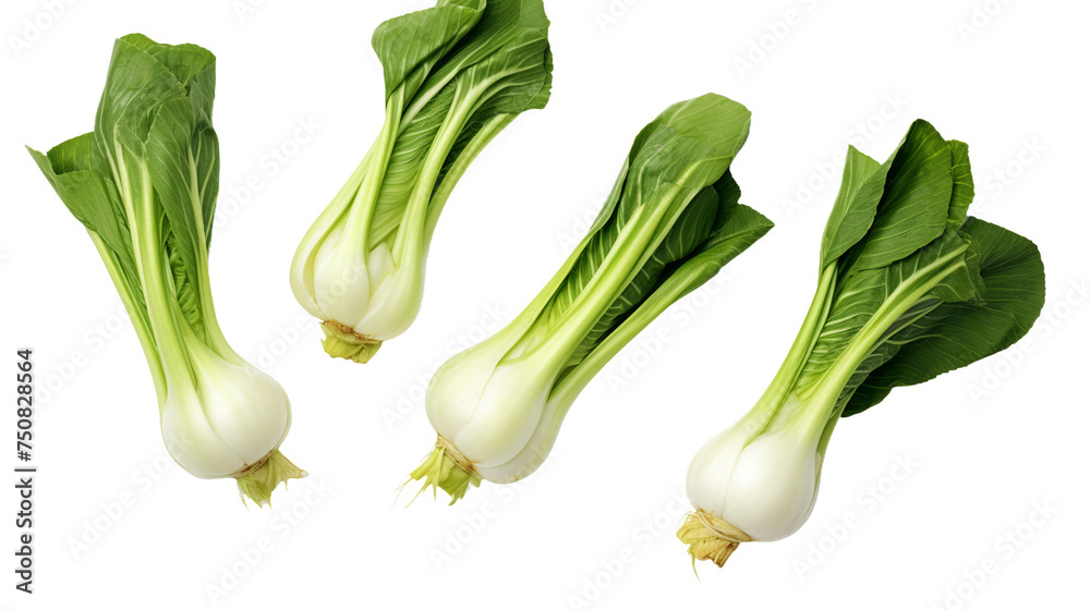 Bok Choy Collection: Fresh Asian Leafy Greens for Culinary Delights ...