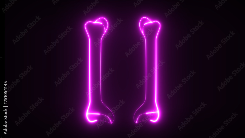 These are femur and parts of lower extremity. Femur is the longest bone ...