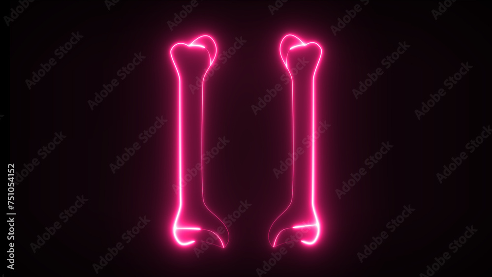These are femur and parts of lower extremity. Femur is the longest bone ...