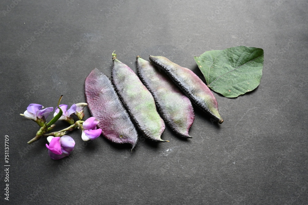 Lablab purpureus vegetable on black background. Its other names lablab ...